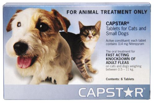 Capstar for small dogs and cats